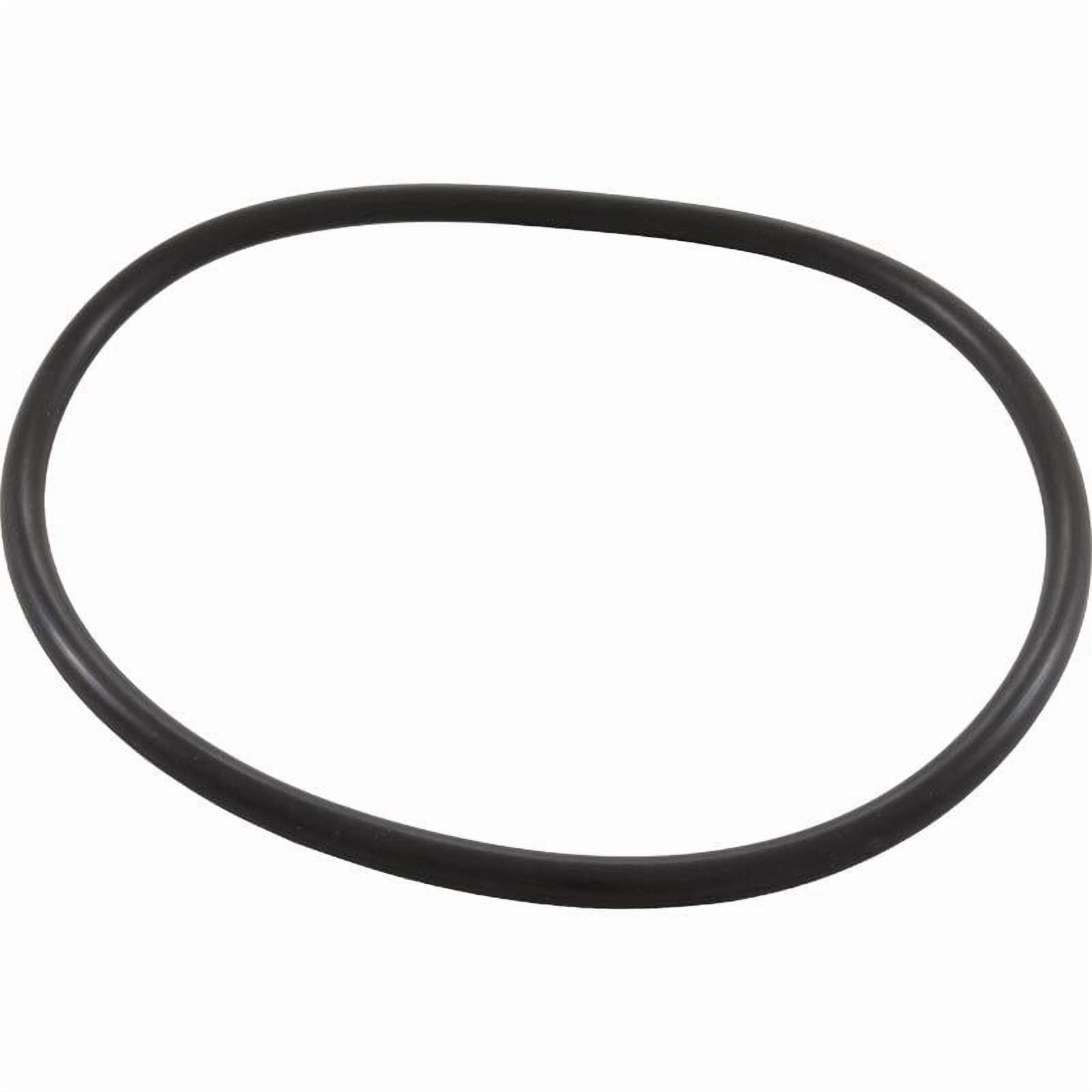 Pentair 35505-1440 Trap Cover O-Ring Replacement for Pentair Pool and ...
