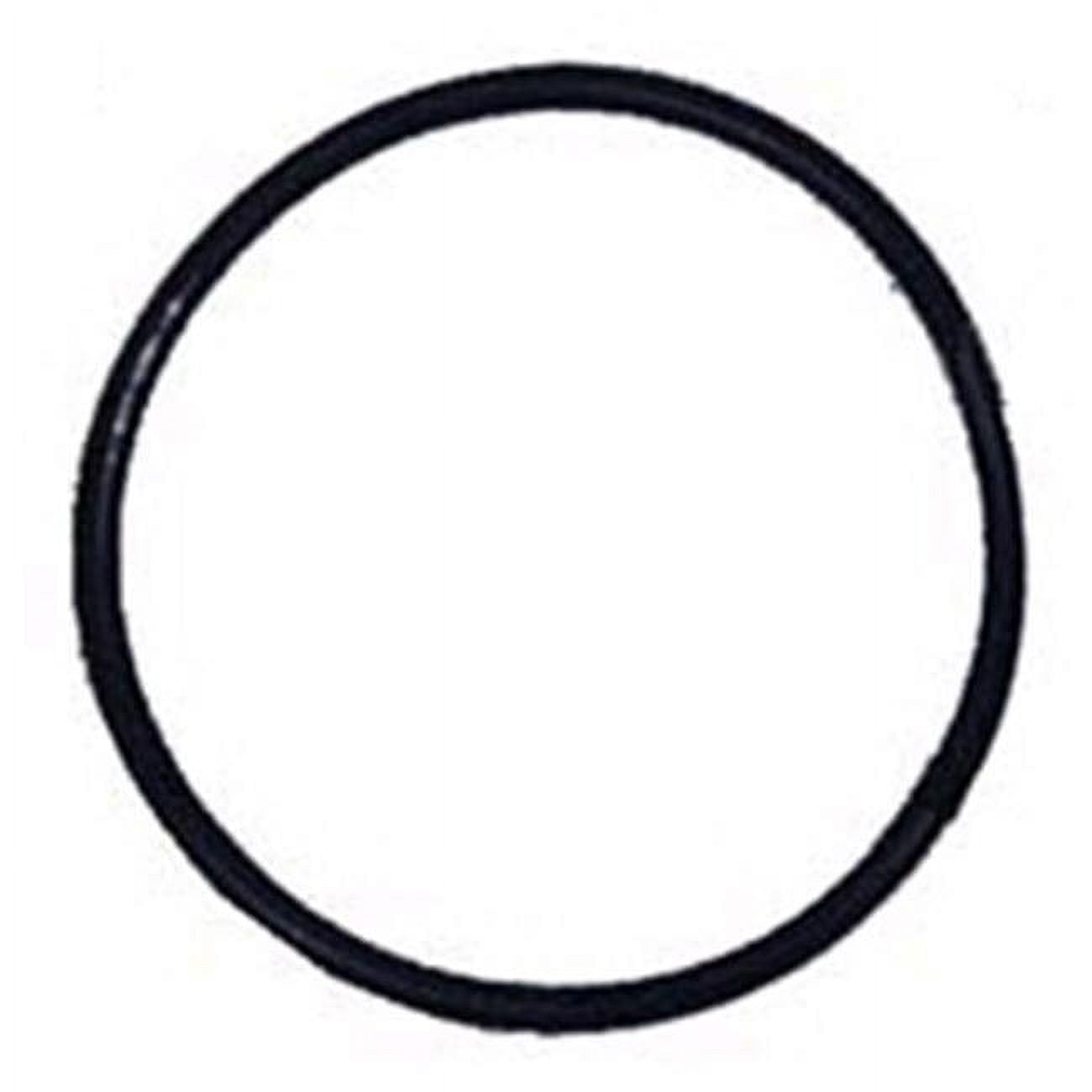 Pentair 355330 Tagelus / Challenger Strainer Pot Flange O-Ring (355330Z ...