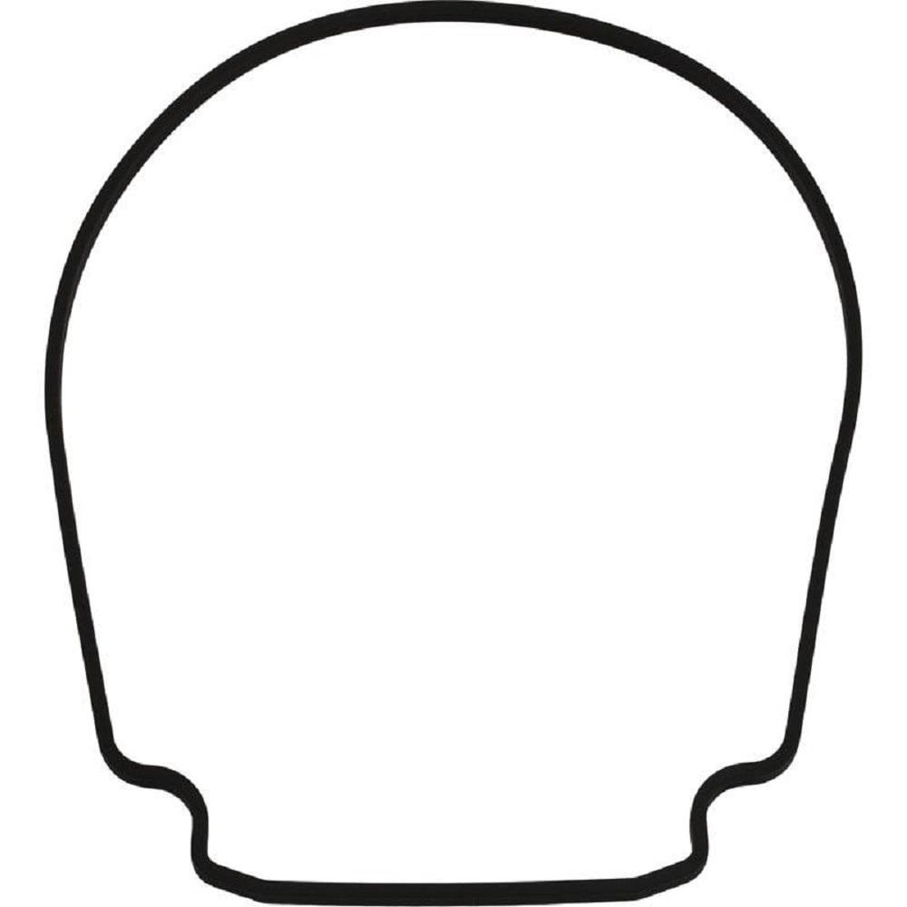 Pentair 357100 Black Seal Plate Gasket Replacement Pool and Spa ...