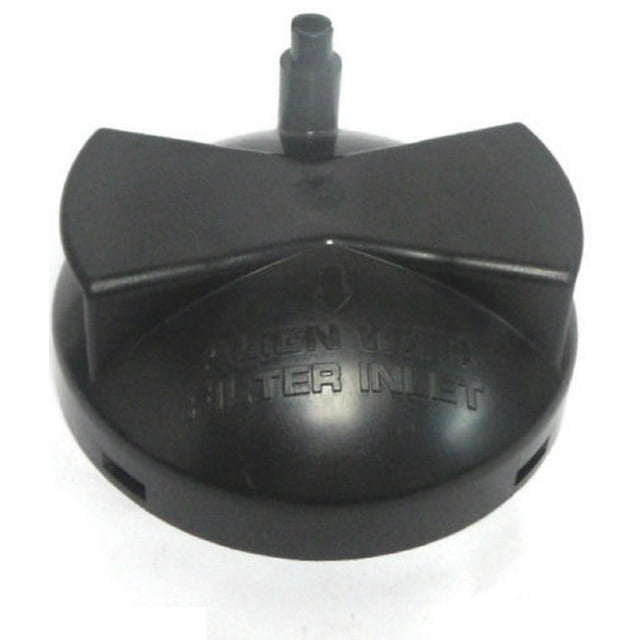 Pentair 59053800 Center Core Lid Only for Pentair Clean & Clear 150/200 ...