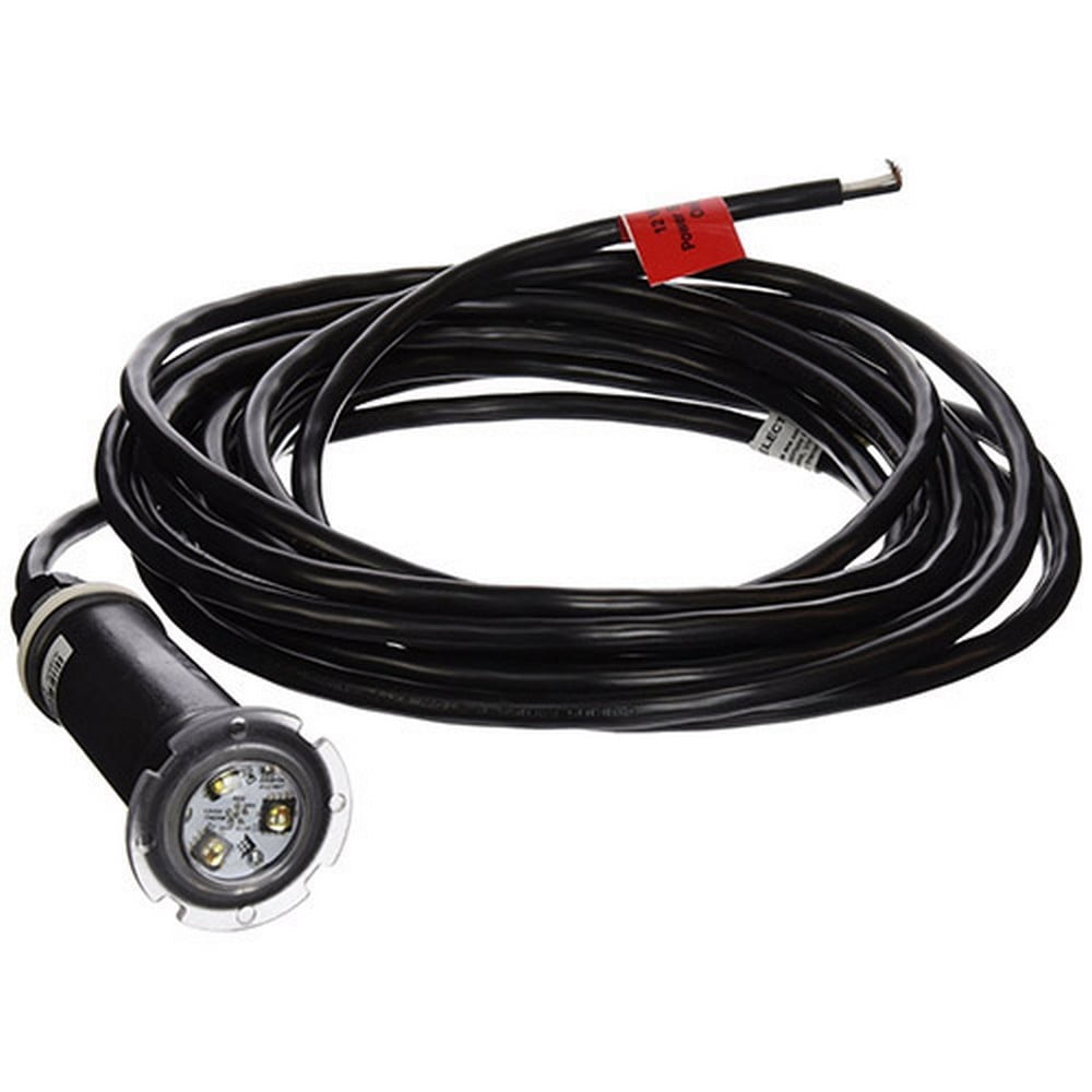 Pentair 602104 Globrite White LED Light 12V 100 ft. Cord - Walmart.com