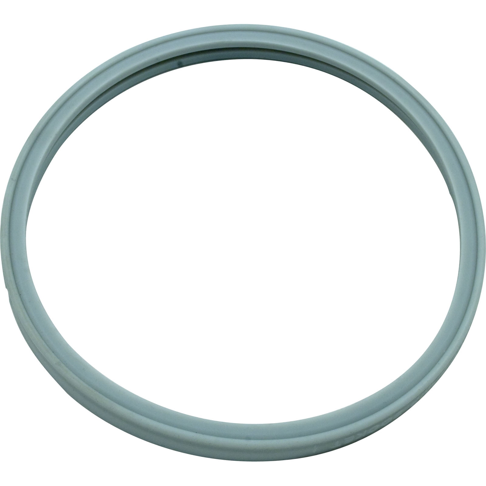 Pentair 614516 Hatteras Light Lens Gasket for Pool Star Pool or Spa ...