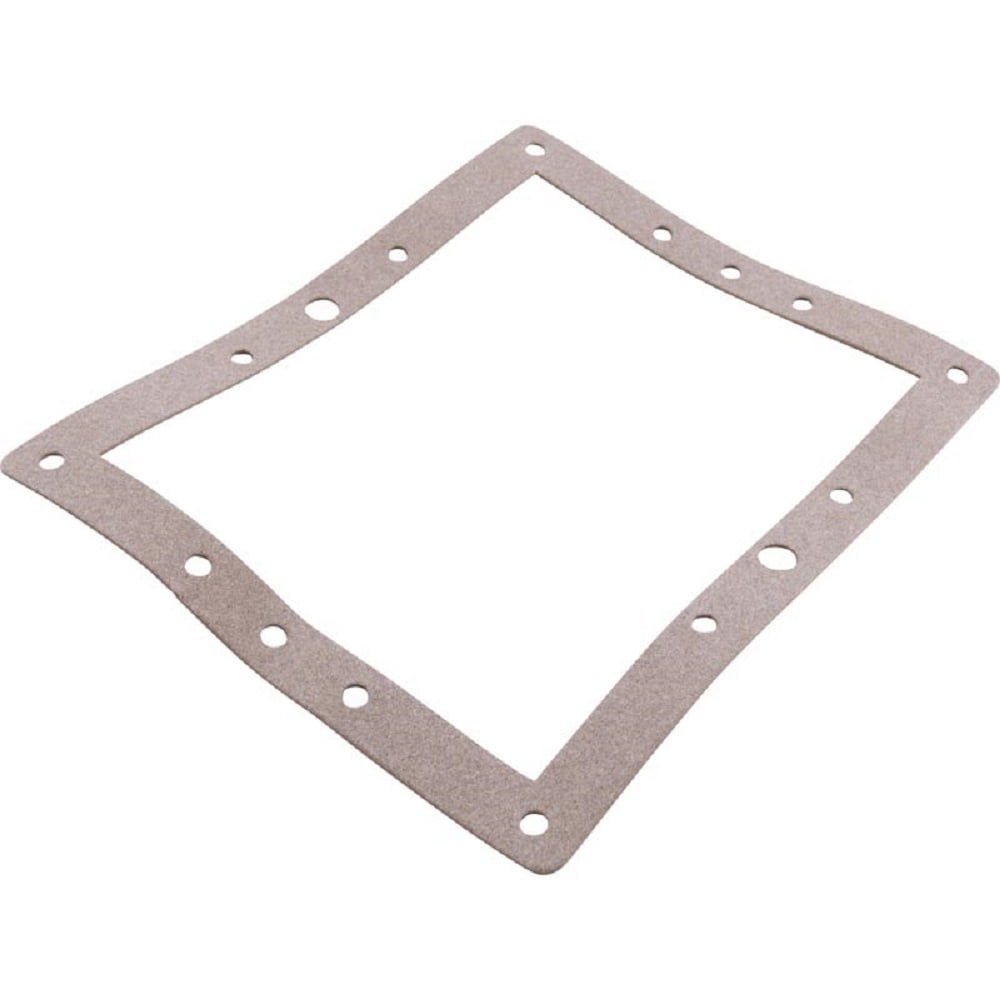 Pentair 81111800 10-Hole Large Gasket with Double Wall Replacement Set ...