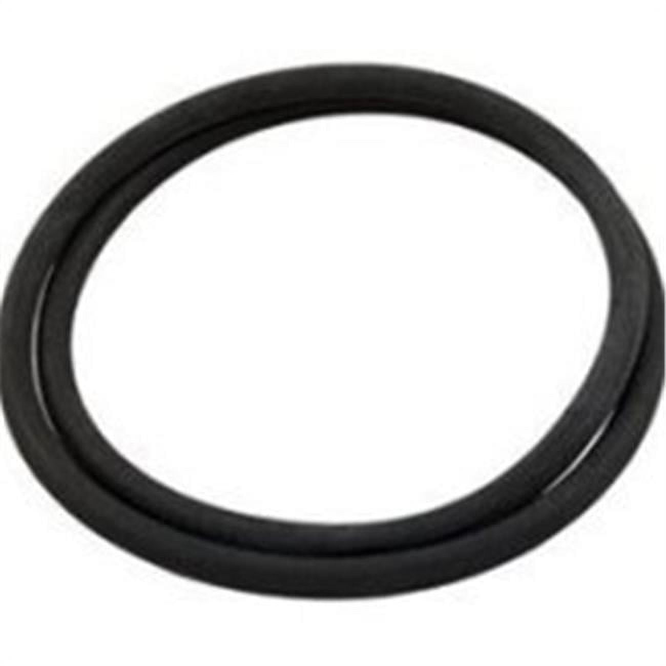 Pentair 87300400 Body O-Ring Replacement Pool and Spa Filter - Walmart.com