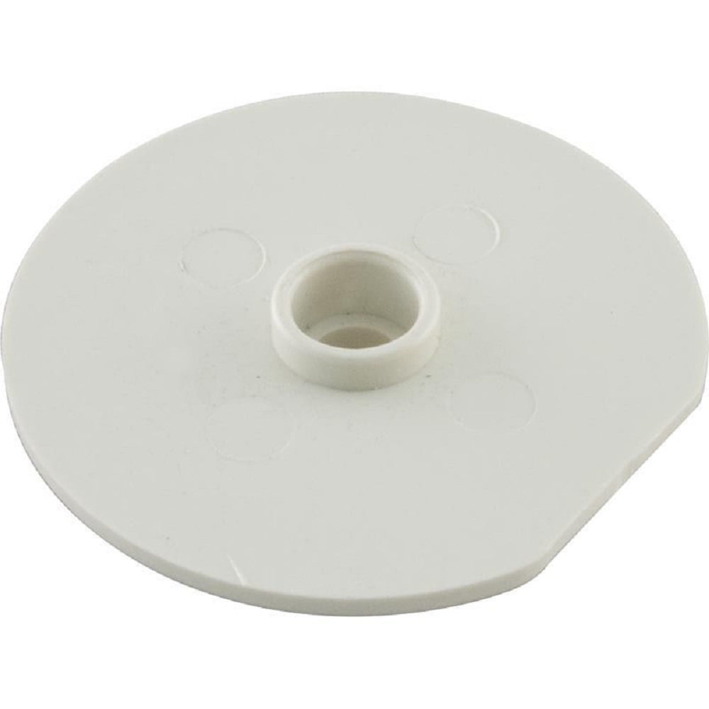 Pentair R36023 Anti-Vortex Plate - Walmart.com