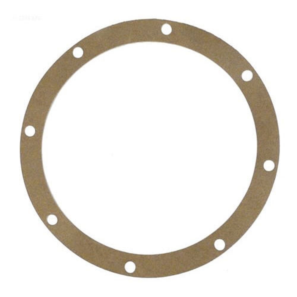 Pentair C20-46 Gasket Adapter Replacement D Series Pool and Spa ...