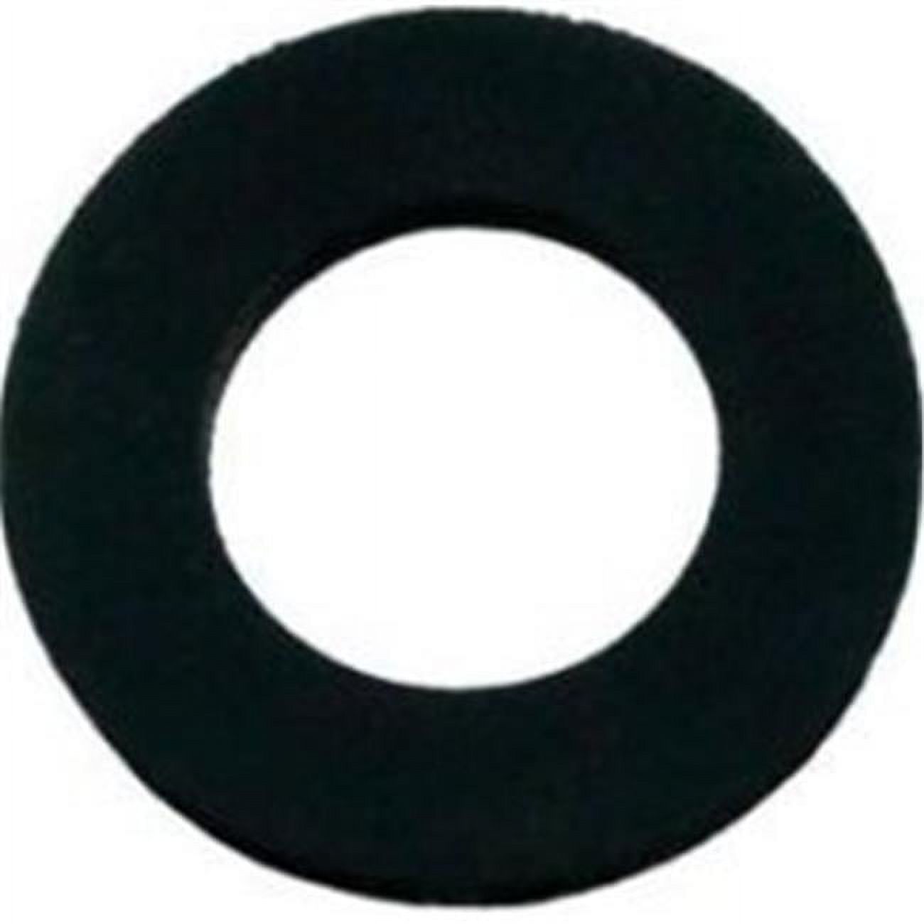 Pentair Slinger Motor C69-2 - Walmart.com