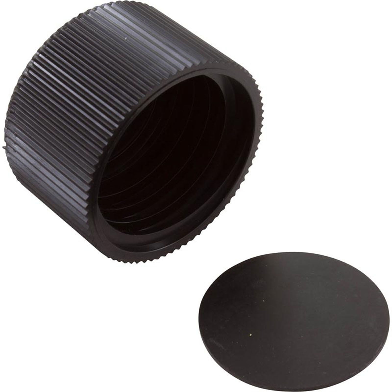 Pentair Drain Cap with Gasket, swimming pool and spa Sand Filters ...