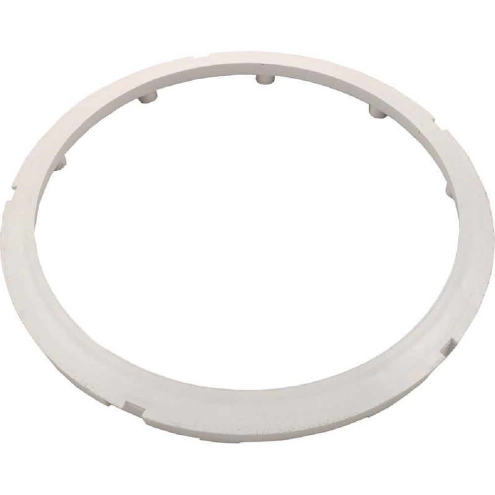 Pentair Face Ring White 78880400 - Walmart Business Supplies