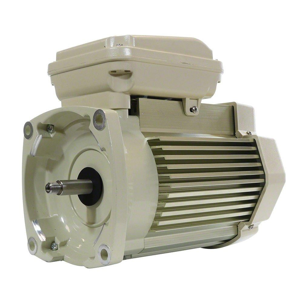 Pentair Motor for WhisperFlo XF 3 Phase 5 HP 354813S - Walmart.com