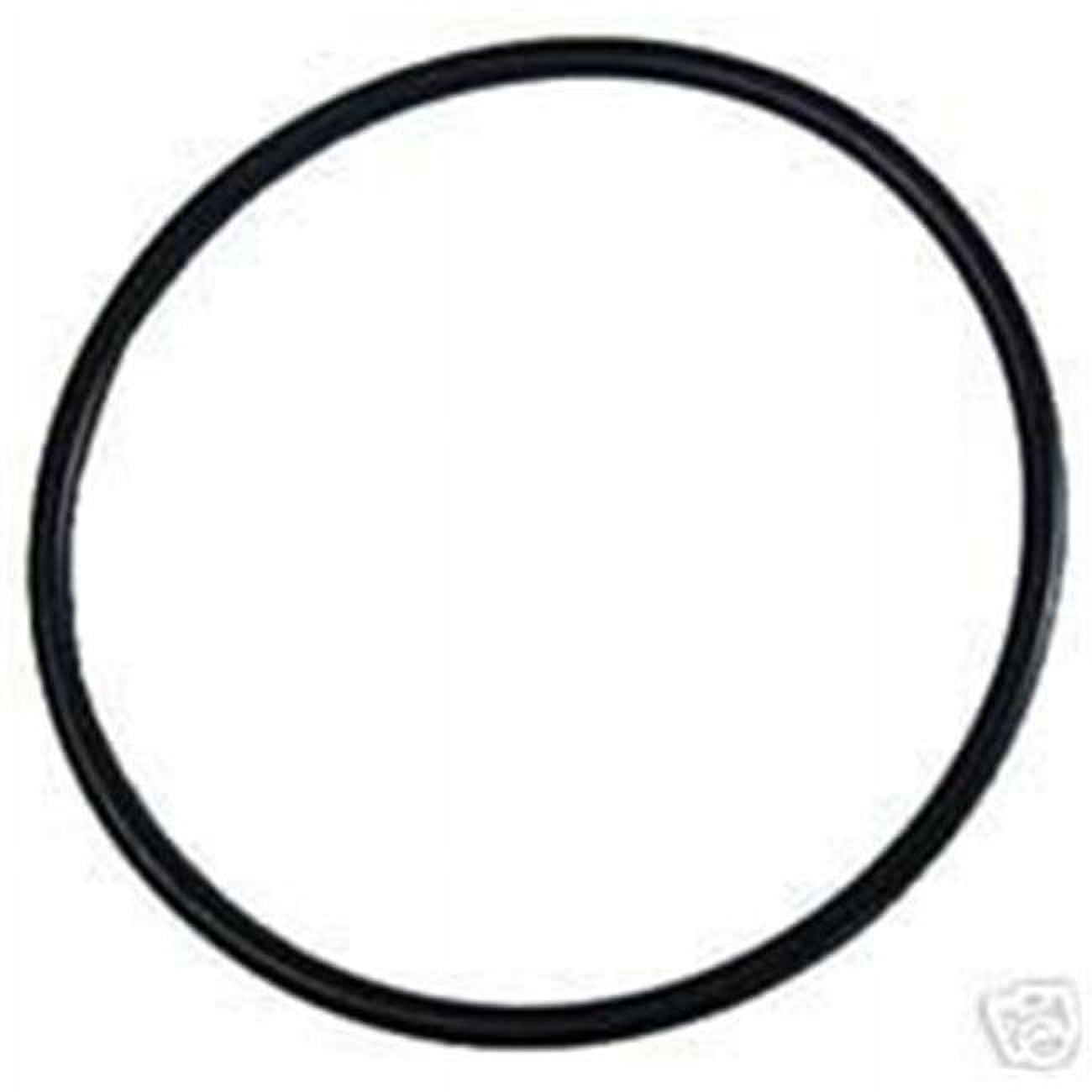 Pentair O-Ring, C-Series, Hair and Lint Strainer Body, O-88 Part ...