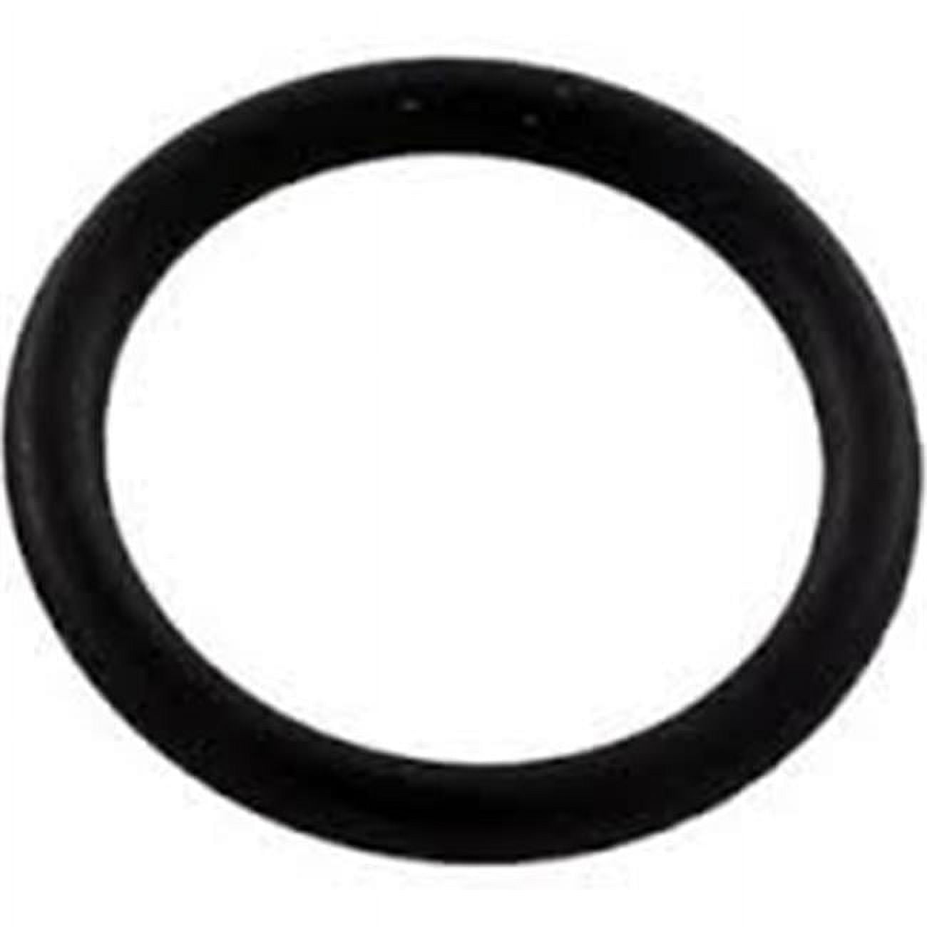 Pentair 192115 O-Ring Drain Plug Replacement Select Pool/Spa Filter and ...