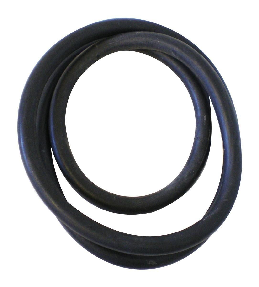 Pentair O-Ring for 18in. After 11-94 53008800Z - Walmart Business Supplies