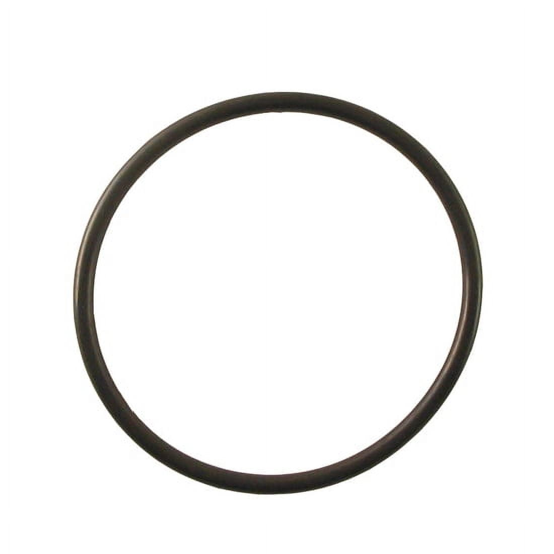 Pentair OMNIFilter OK25 Standard Whole House Replacement O-Ring Kit - 3 ...