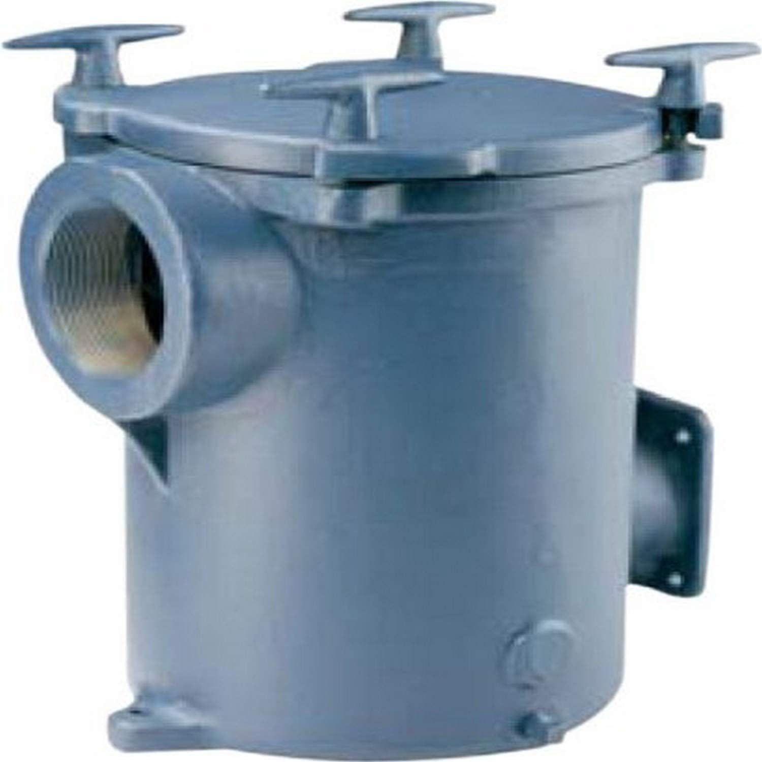 Pentair PKG 98 8-Inch Cast Iron Hair and Lint Strainers Trap Assembly ...