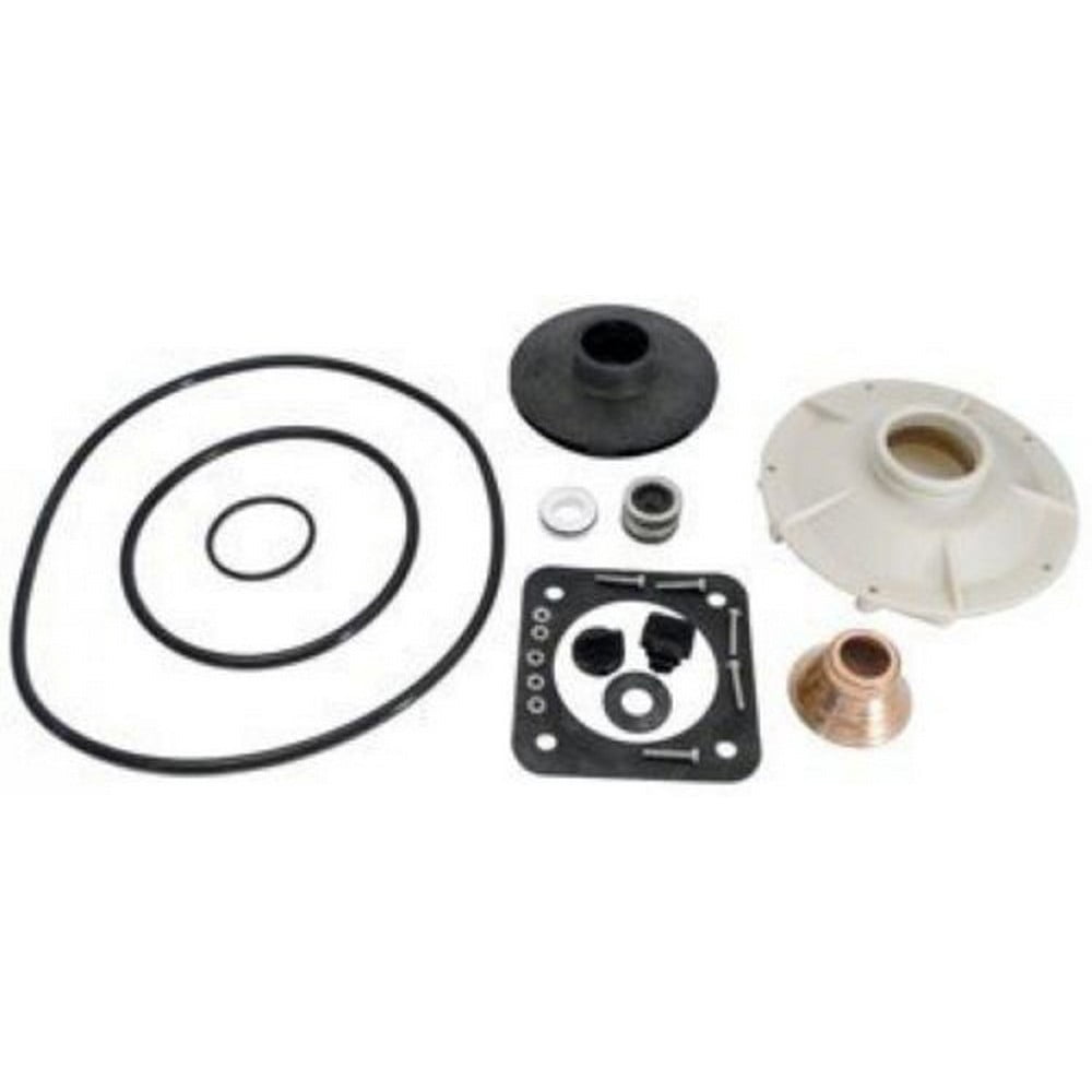 Pentair PP1014 Overhaul Kit for Pool and Spa Pump - Walmart Business ...