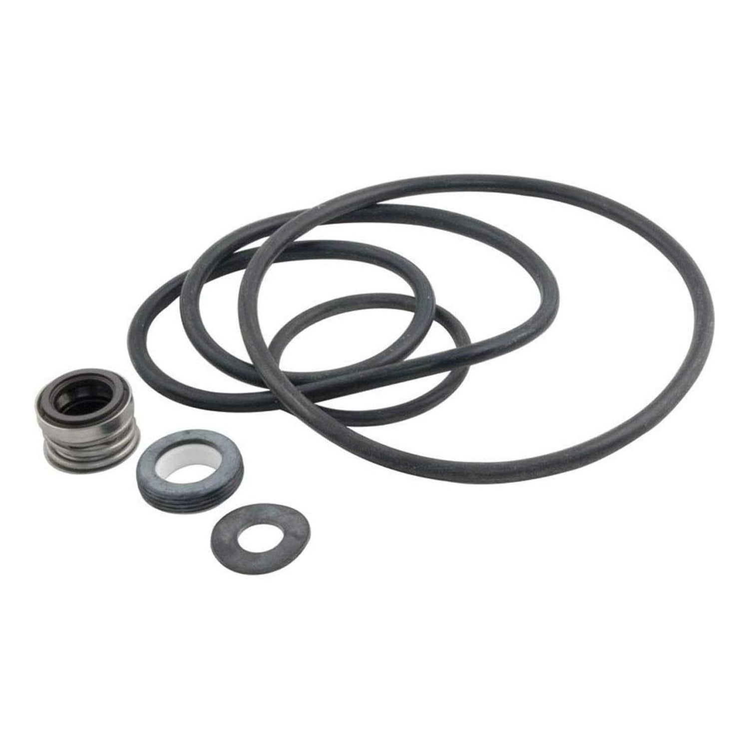 Pentair PP3000 Seal Gasket Replacement Kit Sta-Rite Pool and Spa Pump ...