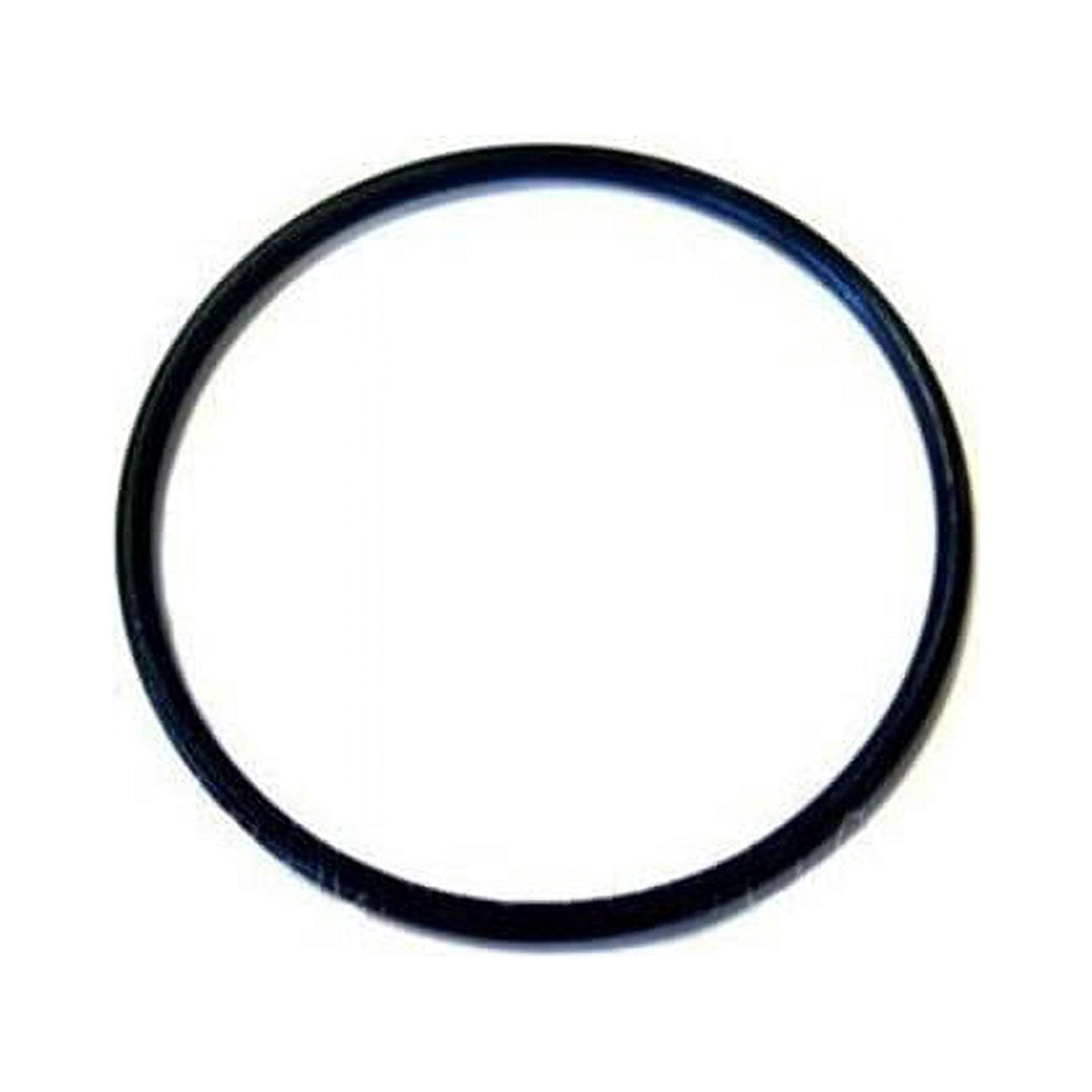 Pentair PacFab 152501 2" Adapter O-Ring - Walmart.com