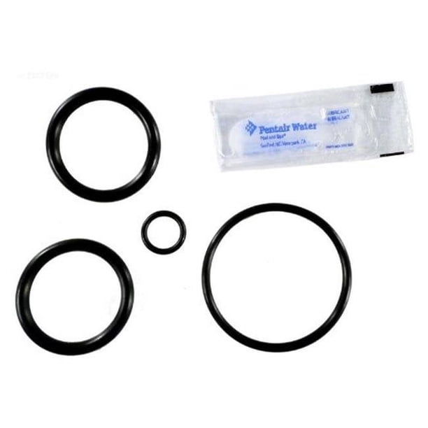 Pentair PacFab 273109 Noncorosive Slide O-Ring Kit - Walmart Business ...