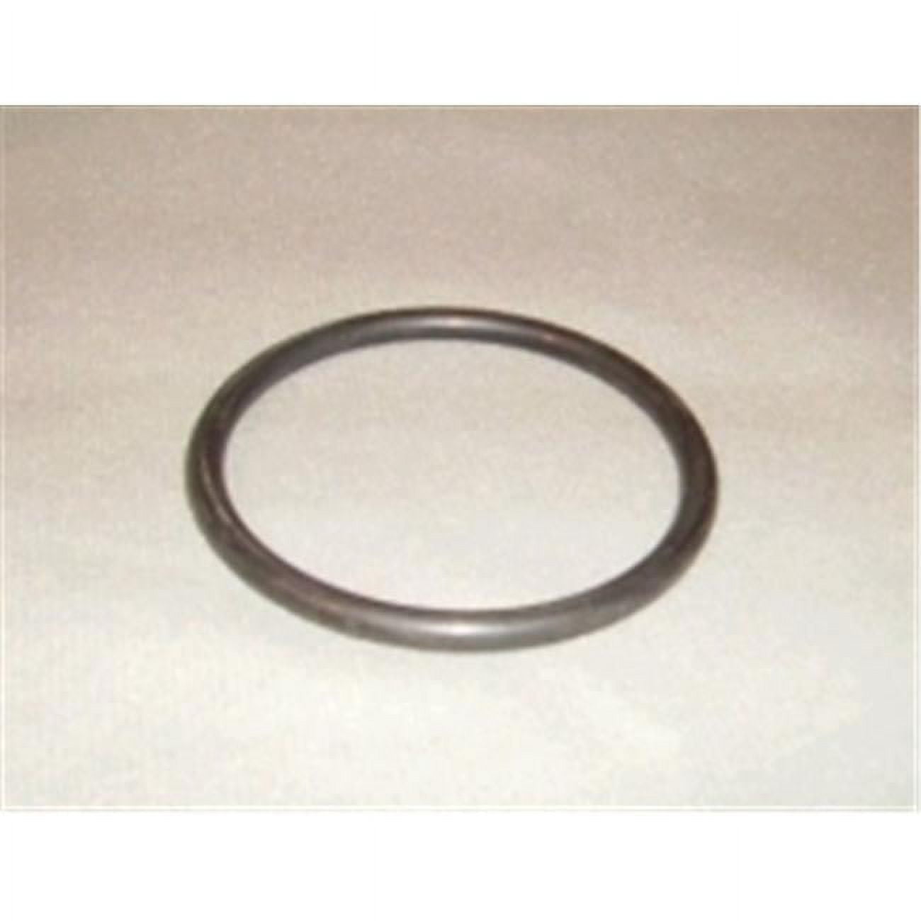 Pentair 154492 2-Inch Bulkhead O-Ring Replacement Pool and Spa Sand ...