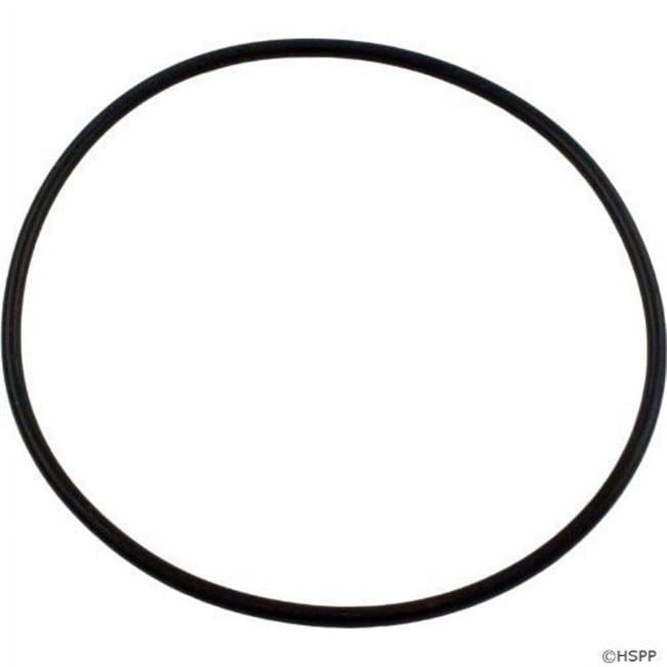 Pentair Pool Products 354634 316 Bracket Diffuser O-Ring Replacement - Walmart.com