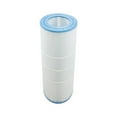 Pentair R173215 100 Sq Ft Cartridge Replacement Clean & Clear Pool ...