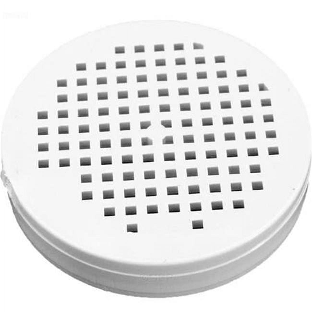 Pentair Rainbow R172401 Screen Check Valve - Walmart.com