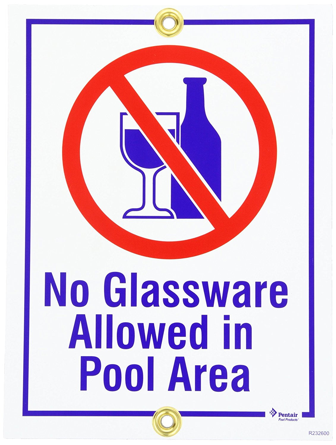 Pentair Rainbow R232600 9" x 12" No Glassware Allowed in Pool Area Sign ...