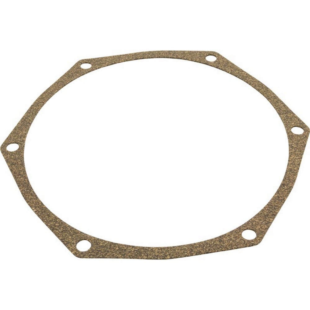 Pentair Sta-Rite C20-86 Gasket, Pool Pump and Spa Pump Replacement Part ...