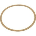 Pentair Sta-Rite N20-35 Seal Plate Gasket - Walmart.com