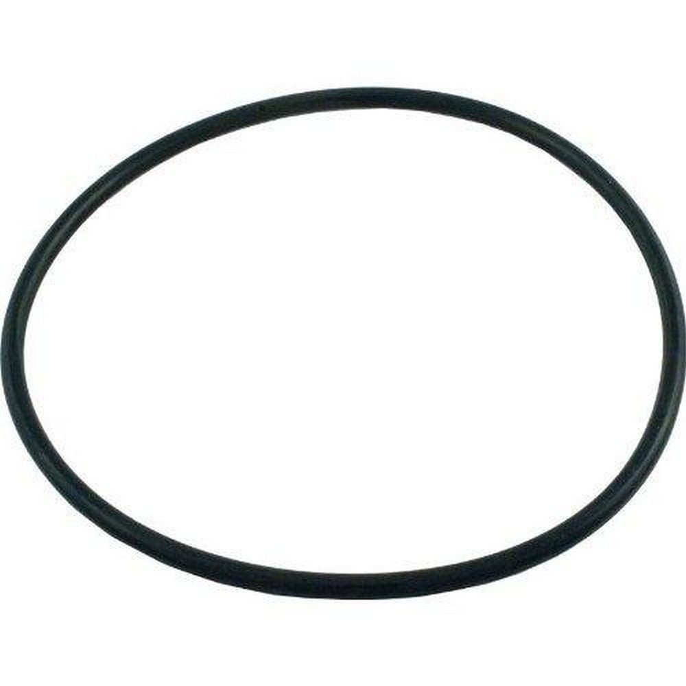 Pentair Sta-Rite U9-369 Tank Flange O-Ring for Pool and Spa Sand ...