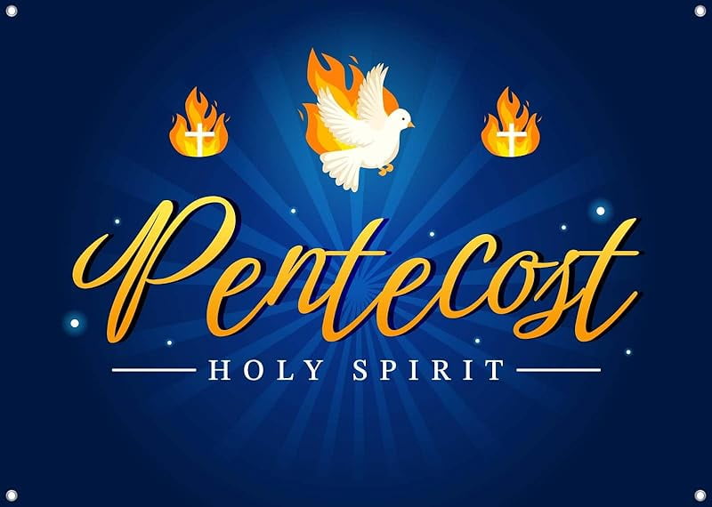 Pentecost Holy Spirit Dove Backdrops Banner Christian Events ...