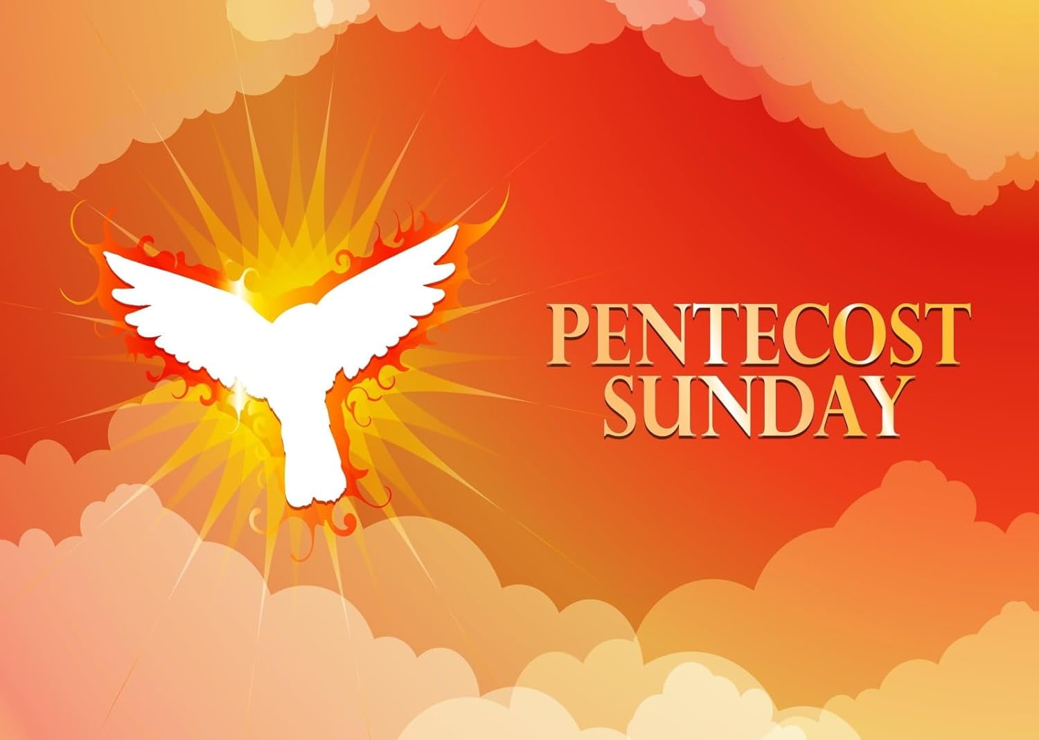 Pentecost Sunday Backdrop Banner Holy Spirit Dove in Heaven Pentecost ...