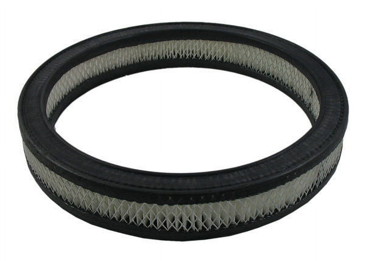 Pentius PAB3425 Pentius Filter Fits select: 1983-1985 FORD RANGER, 1977 ...