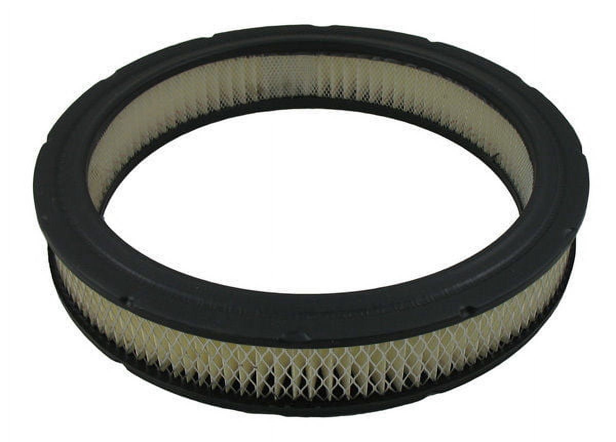 Pentius PAB381 Pentius Filter Fits select: 1973,1983-1986 FORD MUSTANG ...
