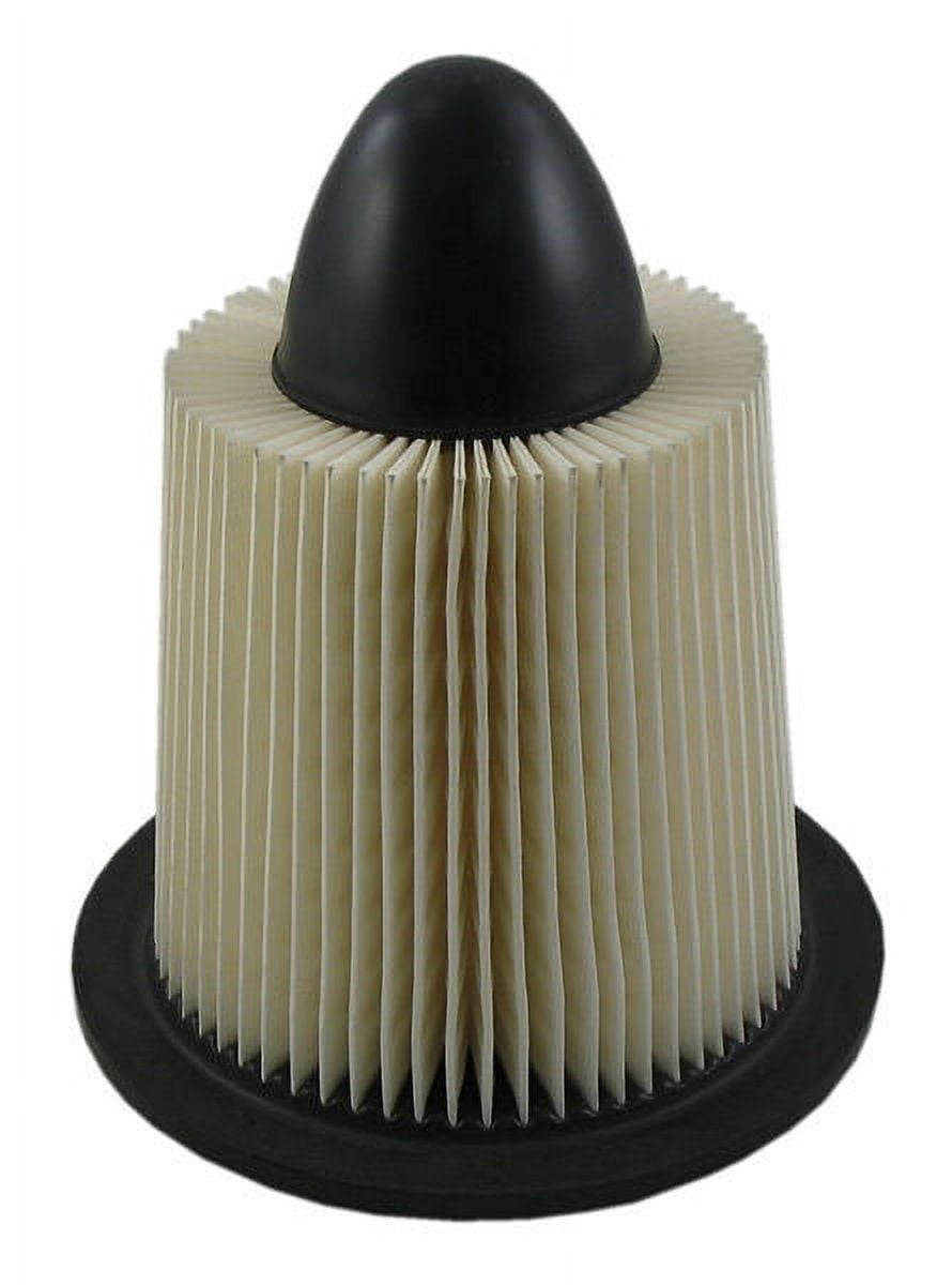 Pentius PAB7774 Pentius Filter Fits select: 1995-1997 FORD RANGER, 1995 ...