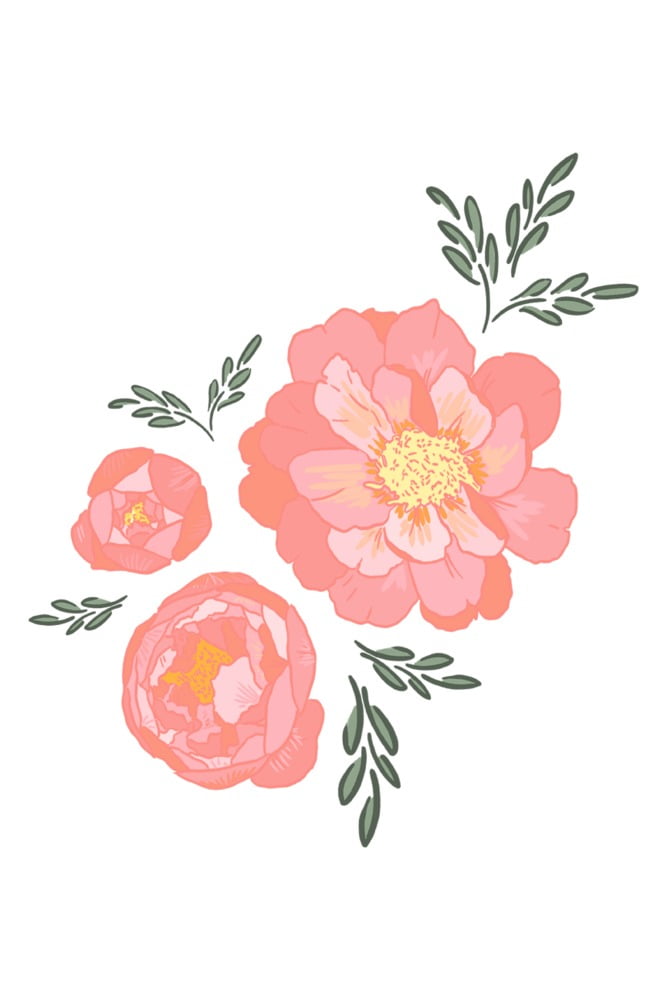 Peonies, Peach, Icon (16x24 Giclee Gallery Art Print, Vivid Textured ...