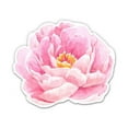 Peony Flower - 5" Vinyl Sticker - For Car Laptop I-Pad - Waterproof ...