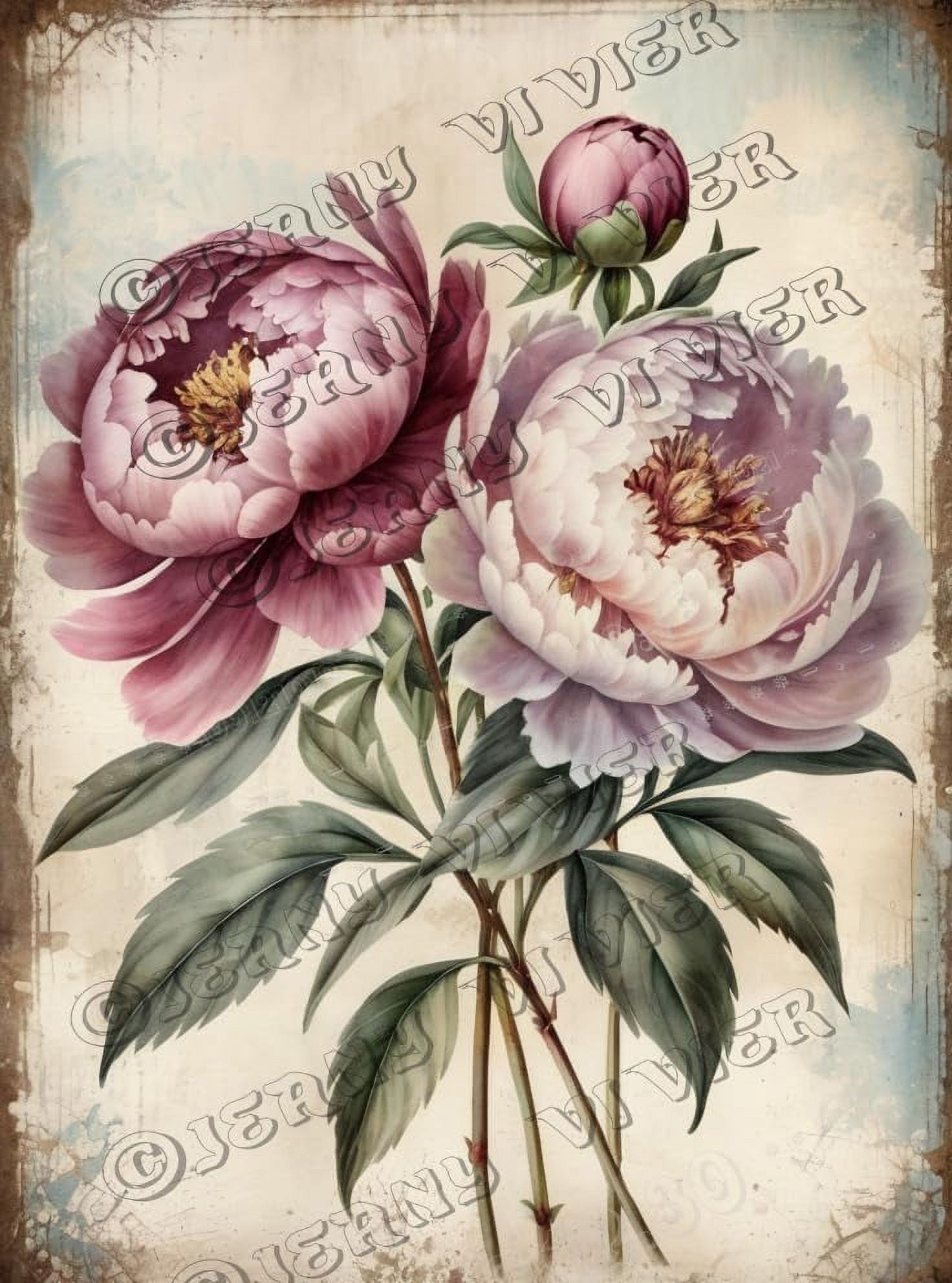 Peony Retro Aluminum Sign 5.5x8 IN Metal Sign Shamrock Bedroom Wall ...