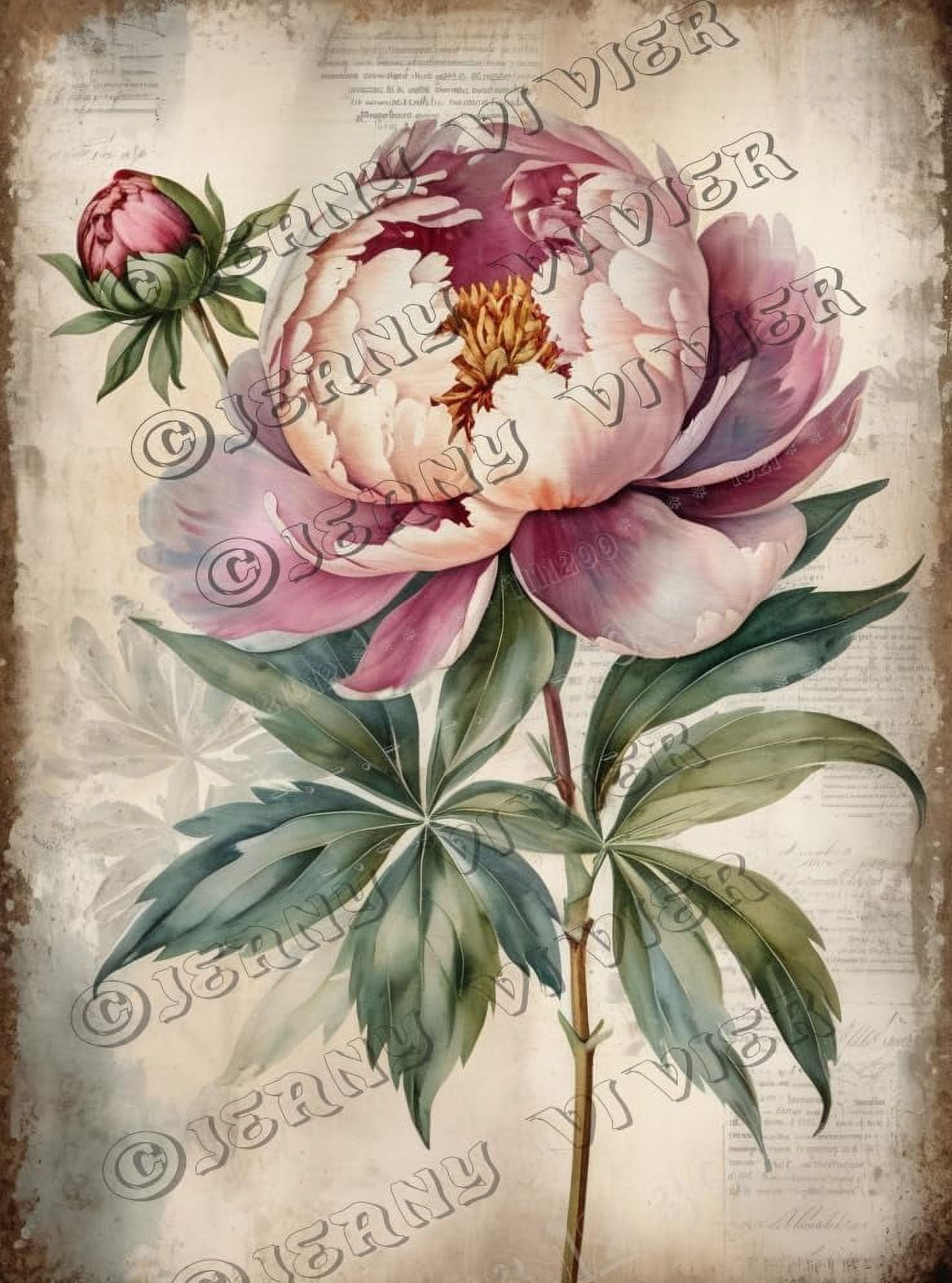 Peony Retro Aluminum Sign 5.5x8 IN Metal Sign Shamrock Wall Decor ...