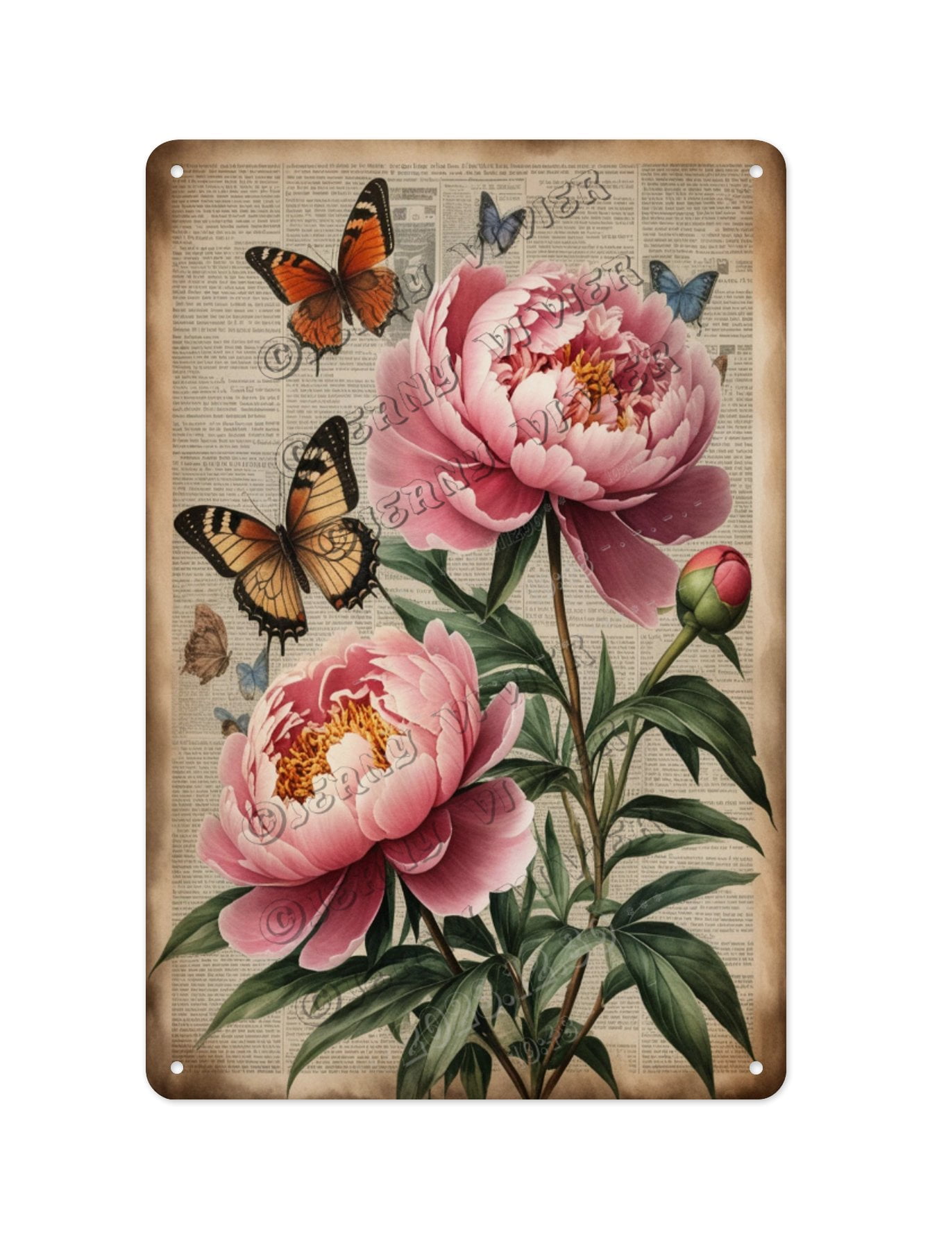 Peony Retro Metal Sign - 8x12 Inches - Fresh Peony Flower Art for ...
