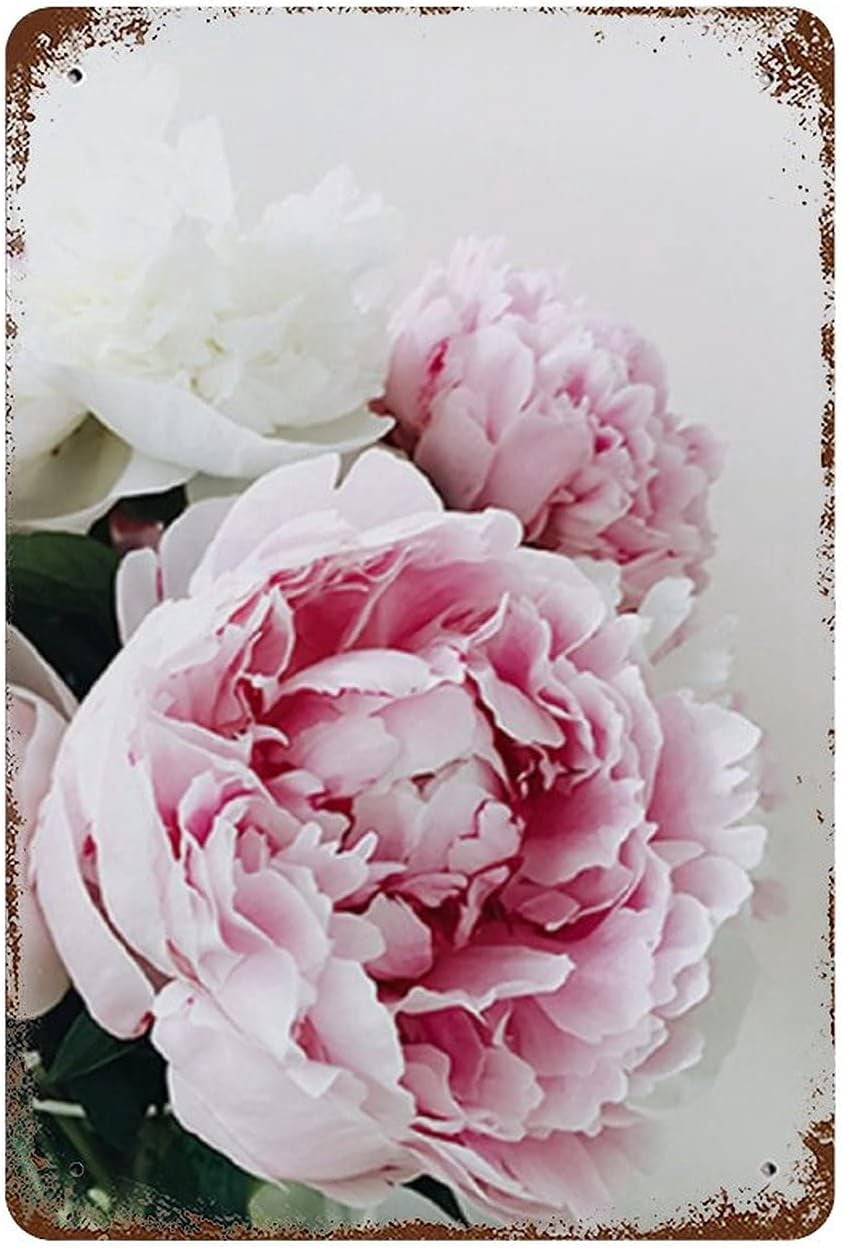 Peony Retro Signs Decoration Art Peonies Illustration Flower Decals ...