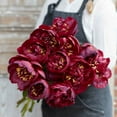 Peony Roots - Buckeye Belle - 3 Roots - Red Flower Bulbs, Root Attracts ...
