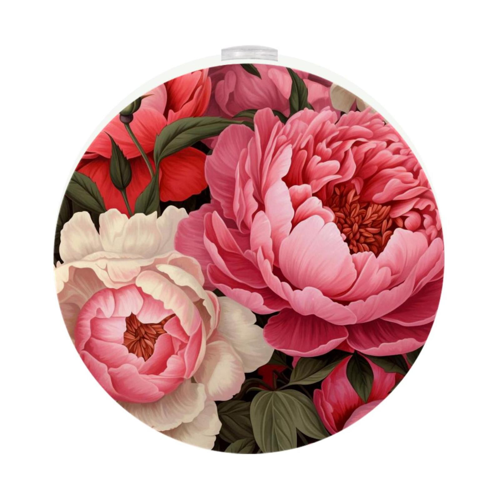 Peony Set of 2 LED Round Night Lights for Brightening up your Space at ...