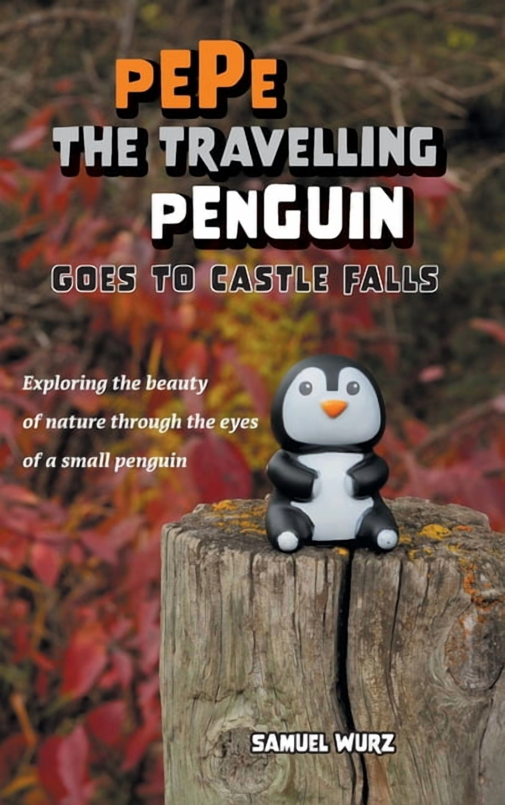 Pepe the Travelling Penguin Goes to Castle Falls: Exploring the Beauty ...