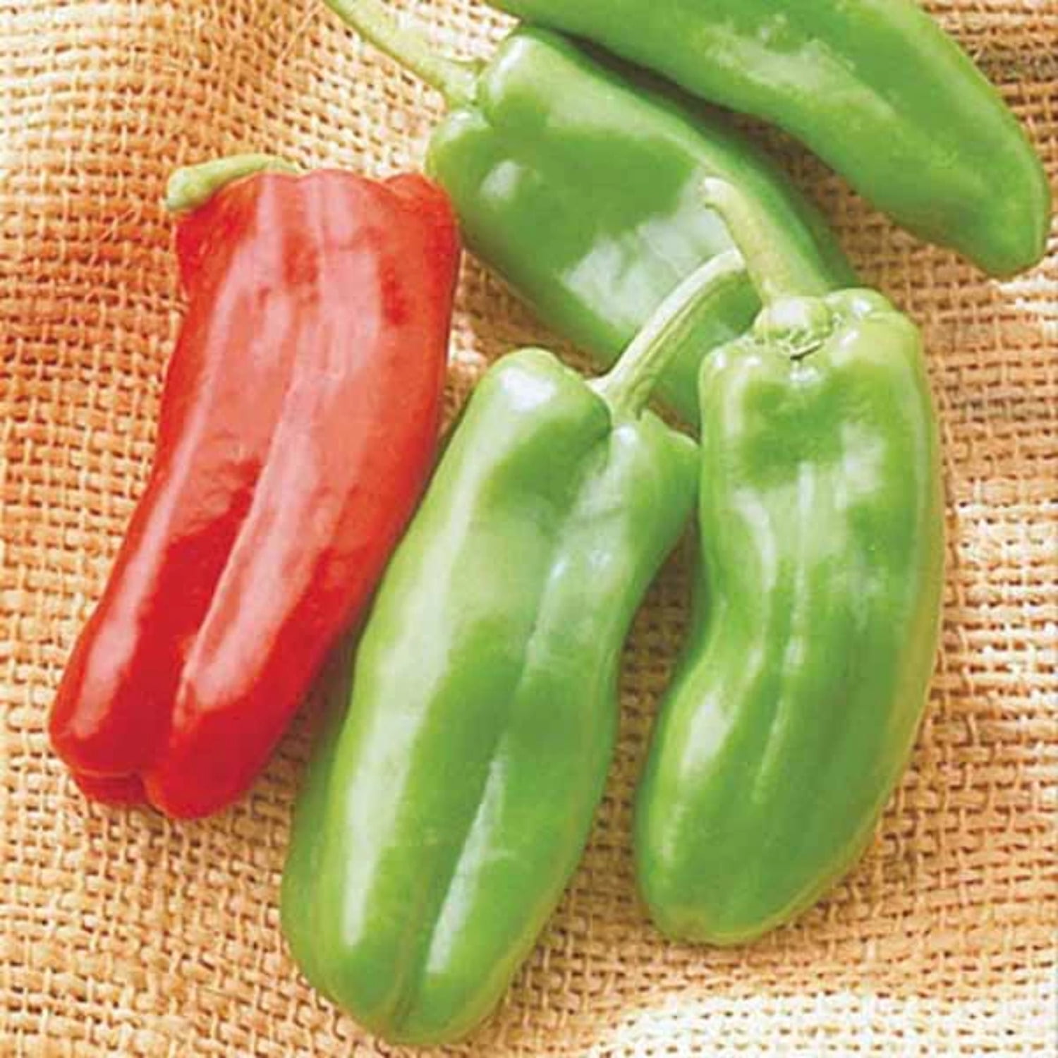 Fresh Produce: Giant Marconi F1 Pepper Seed for roasting or grilling ...