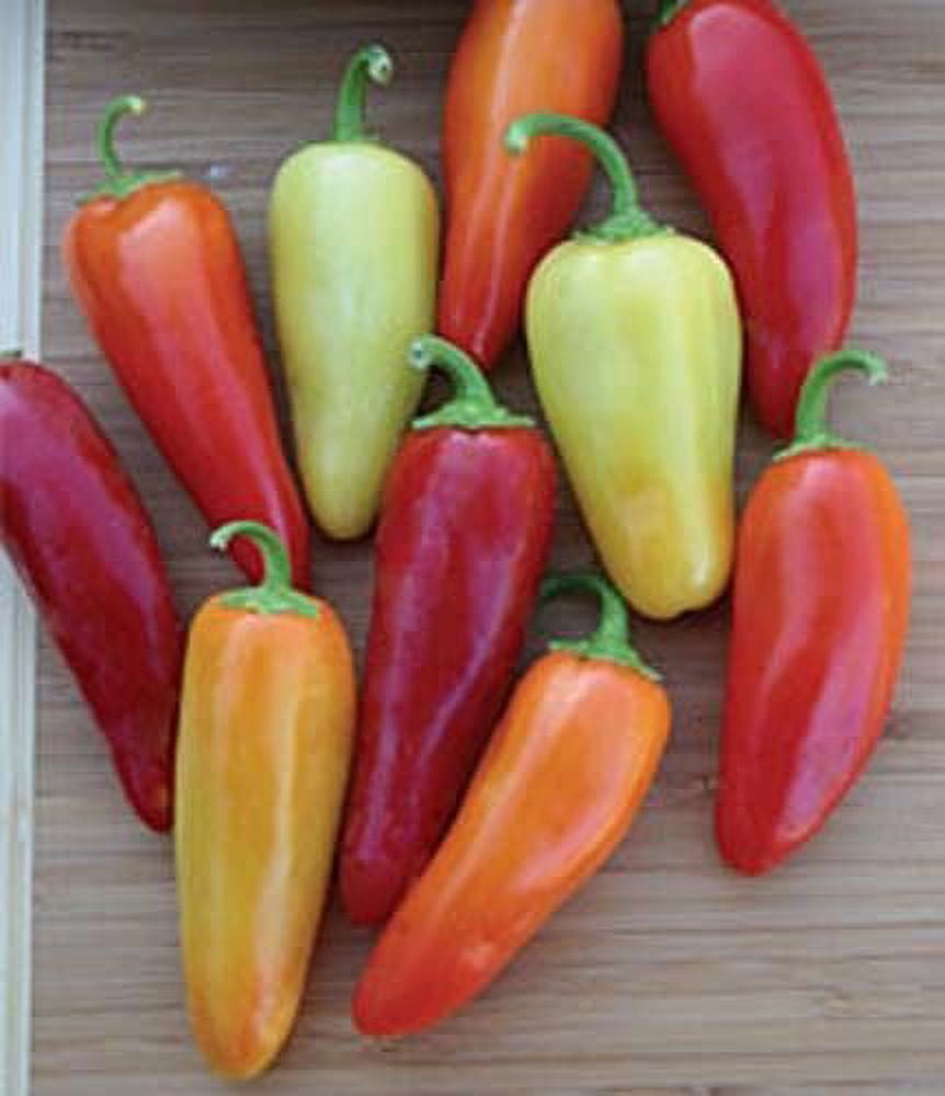 Pepper Hot Santa Fe Grande Great Heirloom Vegetable by Seed Kingdom 1 ...