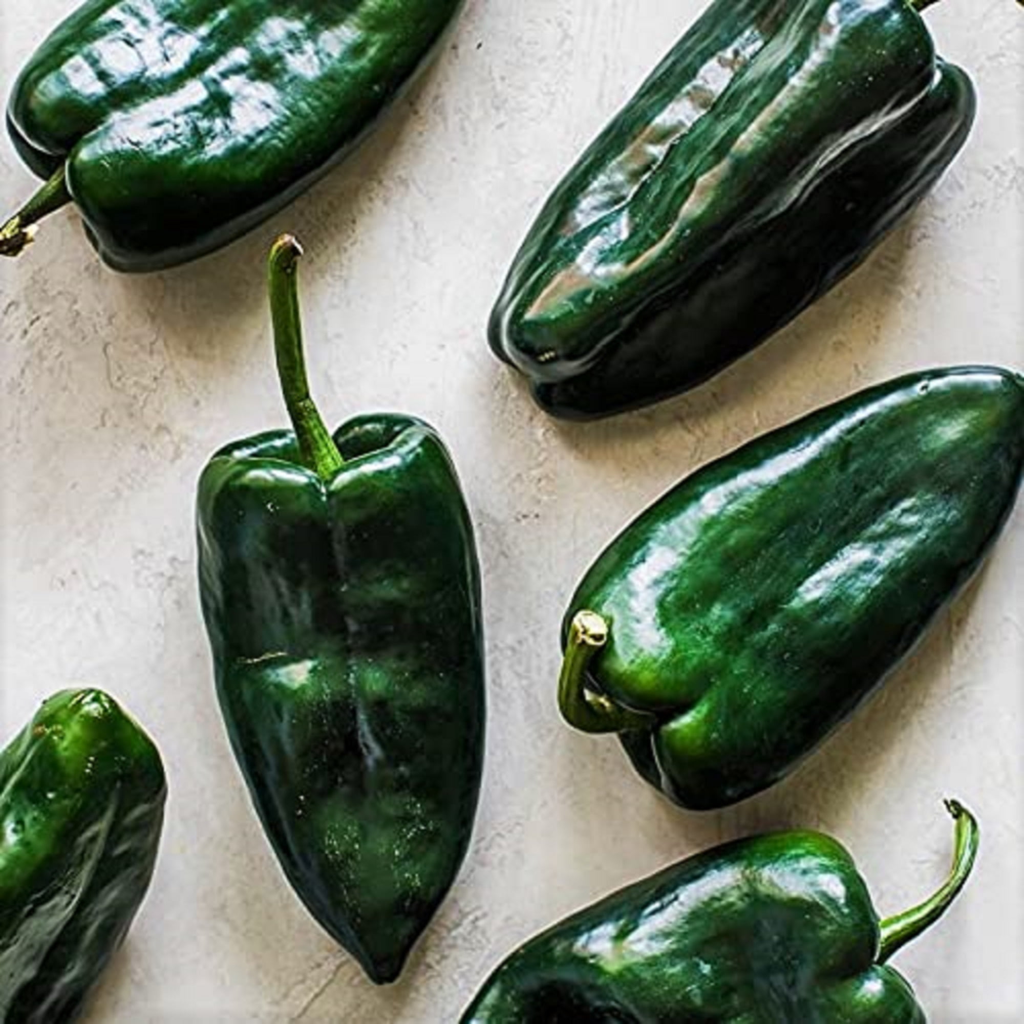 Pepper, Poblano Pepper seeds, NON GMO, 500 seeds per pack, mild chili ...