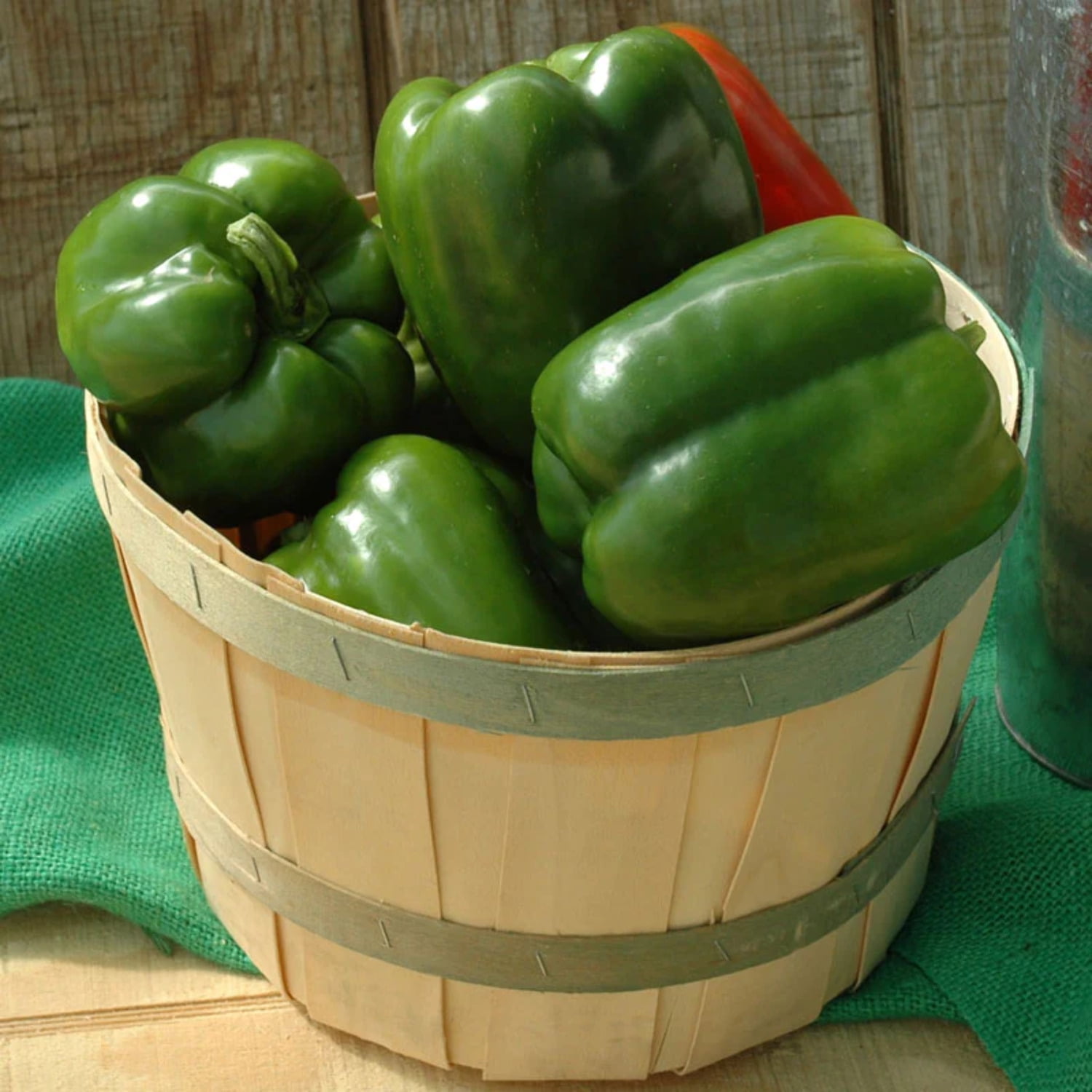 Pepper Revolution F1, Treated Pelleted, 10,000 Seeds - Walmart.com