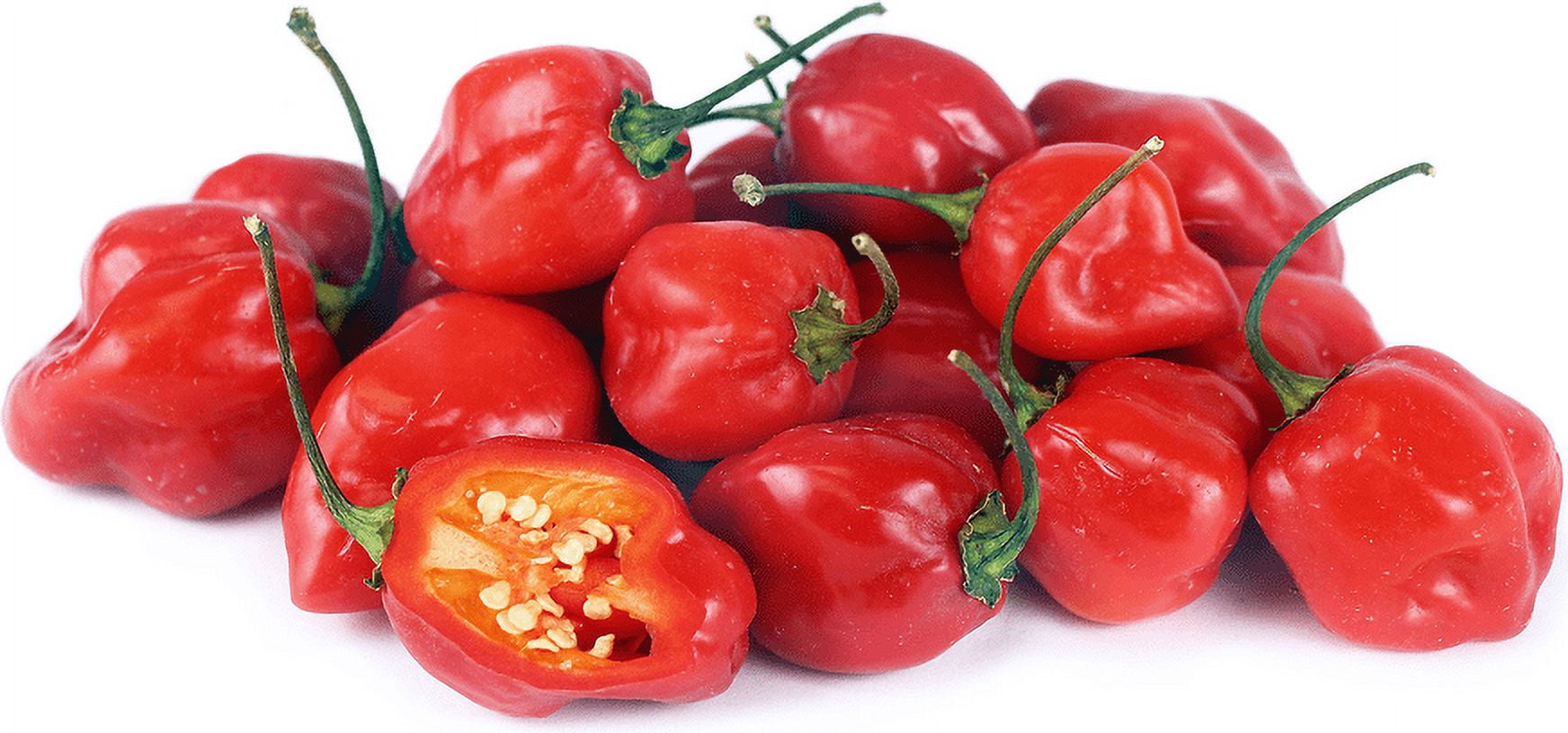 Country Creek, Habanero Pepper Seeds, 100 Heirloom Seeds, Hot Chili ...